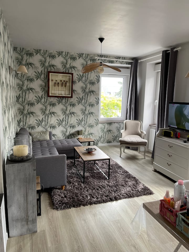 Très Bel Appartement Et Sa Très Grande Terrasse - Ploufragan
