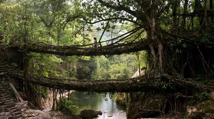 Escape To The Abode Of Cloud New@cherrapunji@dawki - Cherrapunji