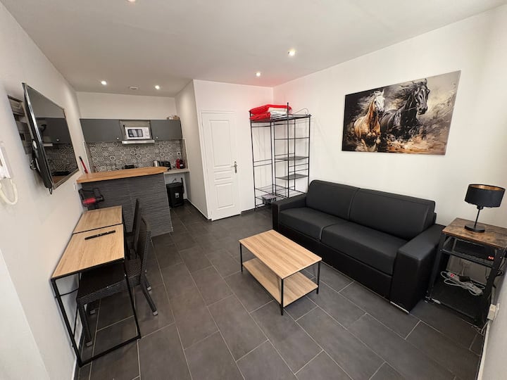 Studio Le Lotus – Charme & Sérénité Vieux Orléans - Orléans