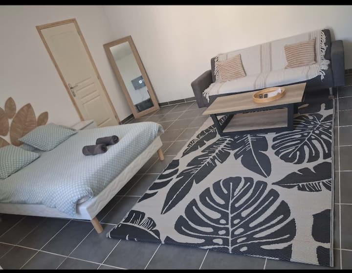 Grand Studio Avec Jardin - Cambrai