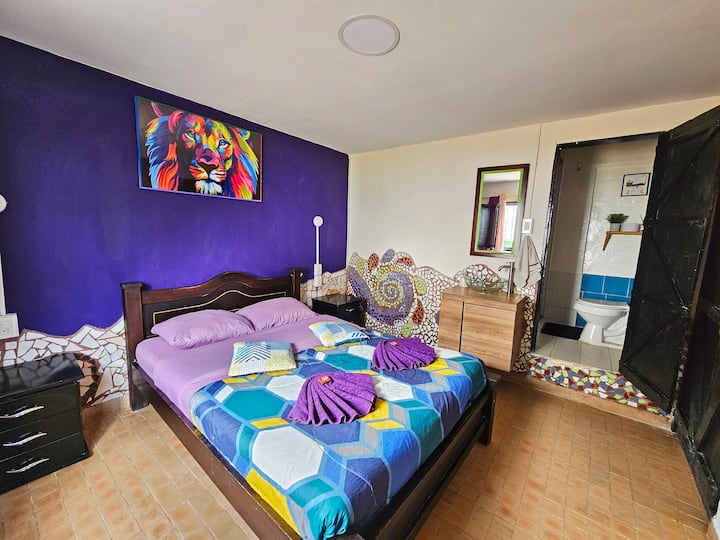 Habitación Doble En Calle Histórica + Baño Privado - San Agustín