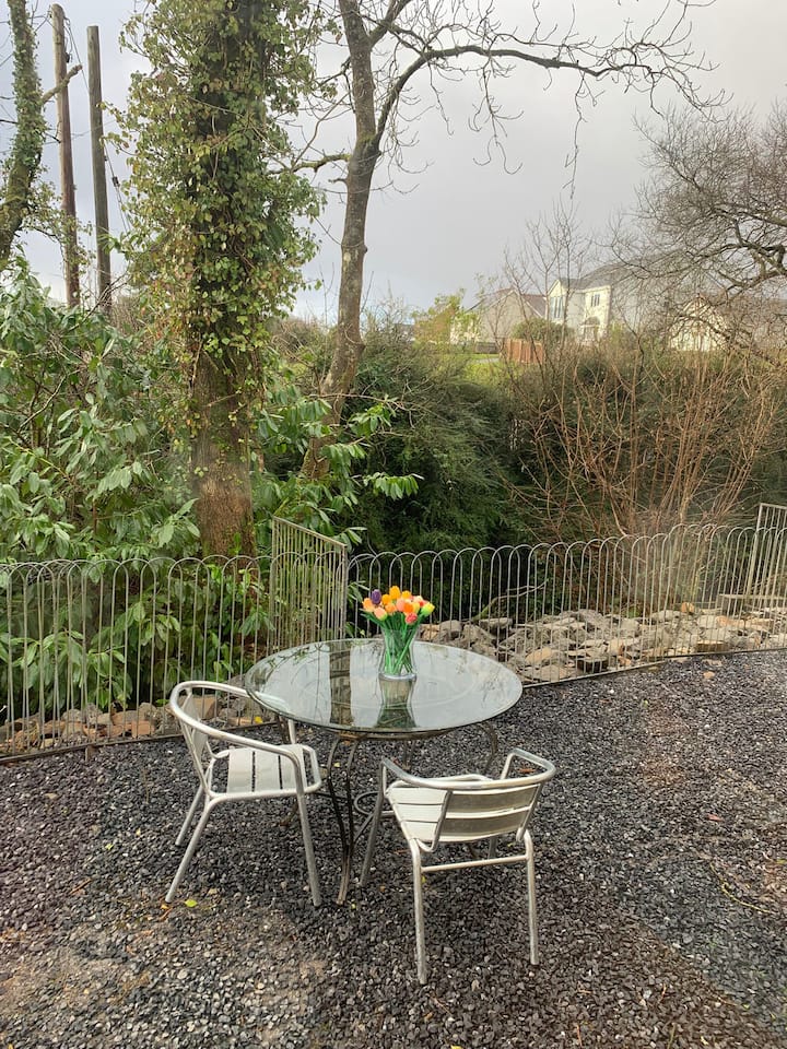 Spacious Party House - Llandeilo