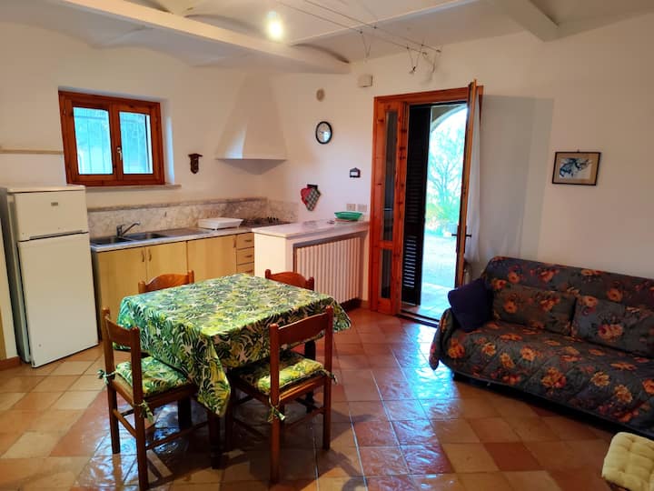 Appartamento In Podere Toscano Immerso Nel Verde - Castagneto Carducci