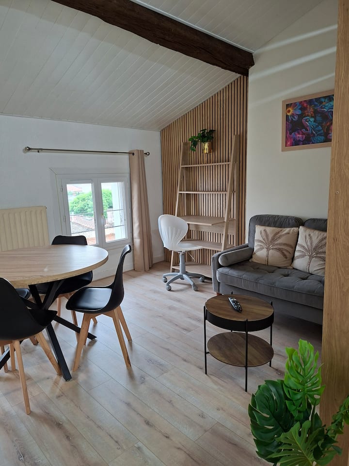 Appartement Cosy Le Mellaise - Niort