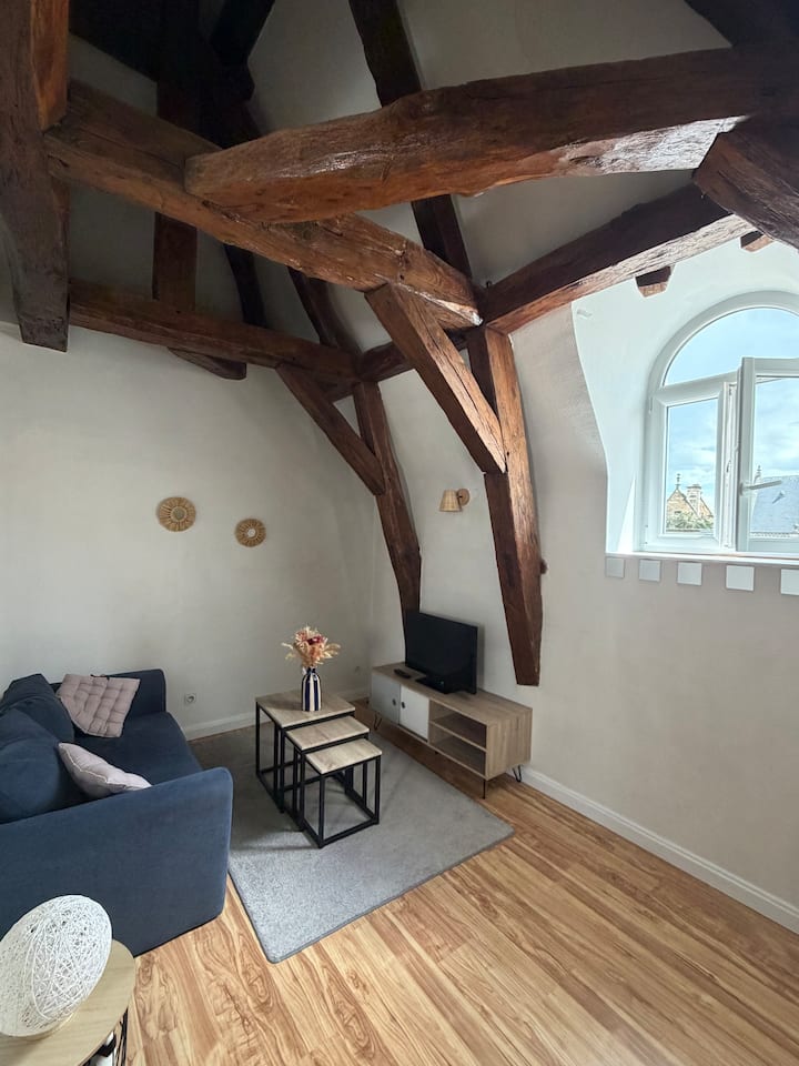 Duplex Cosy Sous Les Toits Au Cœur De Dijon - Dijon