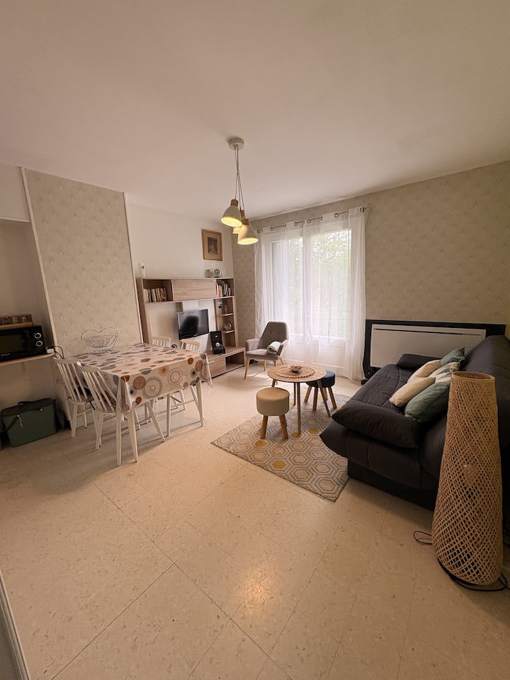 Appartement Cozy, Calme Et Ressourçant - Lannemezan