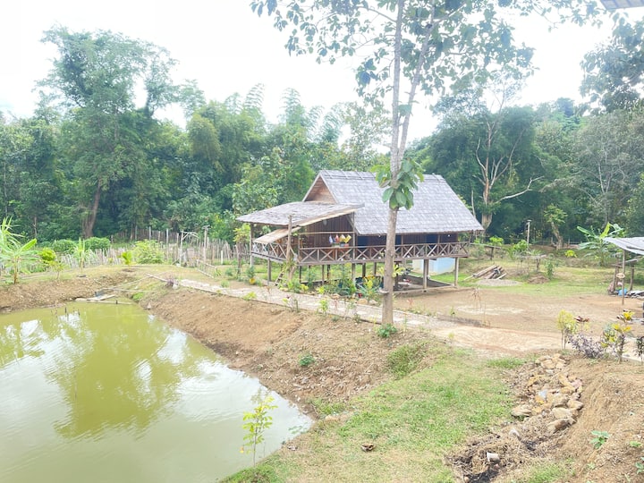 Experience Rural Life Near Luangprabang Homestay - Luang Prabang