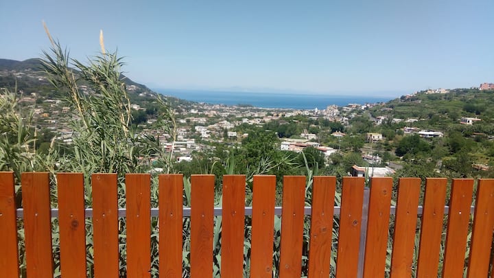 Casa Relax Immersa Nelle Campagne Ischitane - Procida
