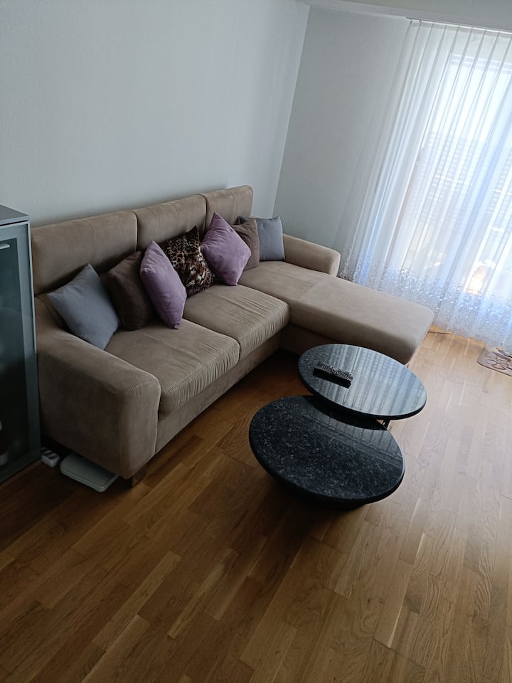 Ruhige 3-zimmer-familienwohnung Im Grünen - Bâle