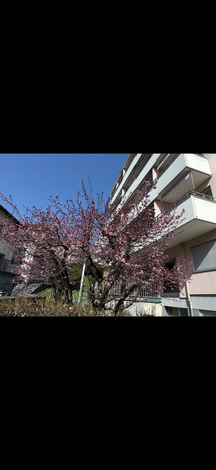 Bienvenue - Lausanne
