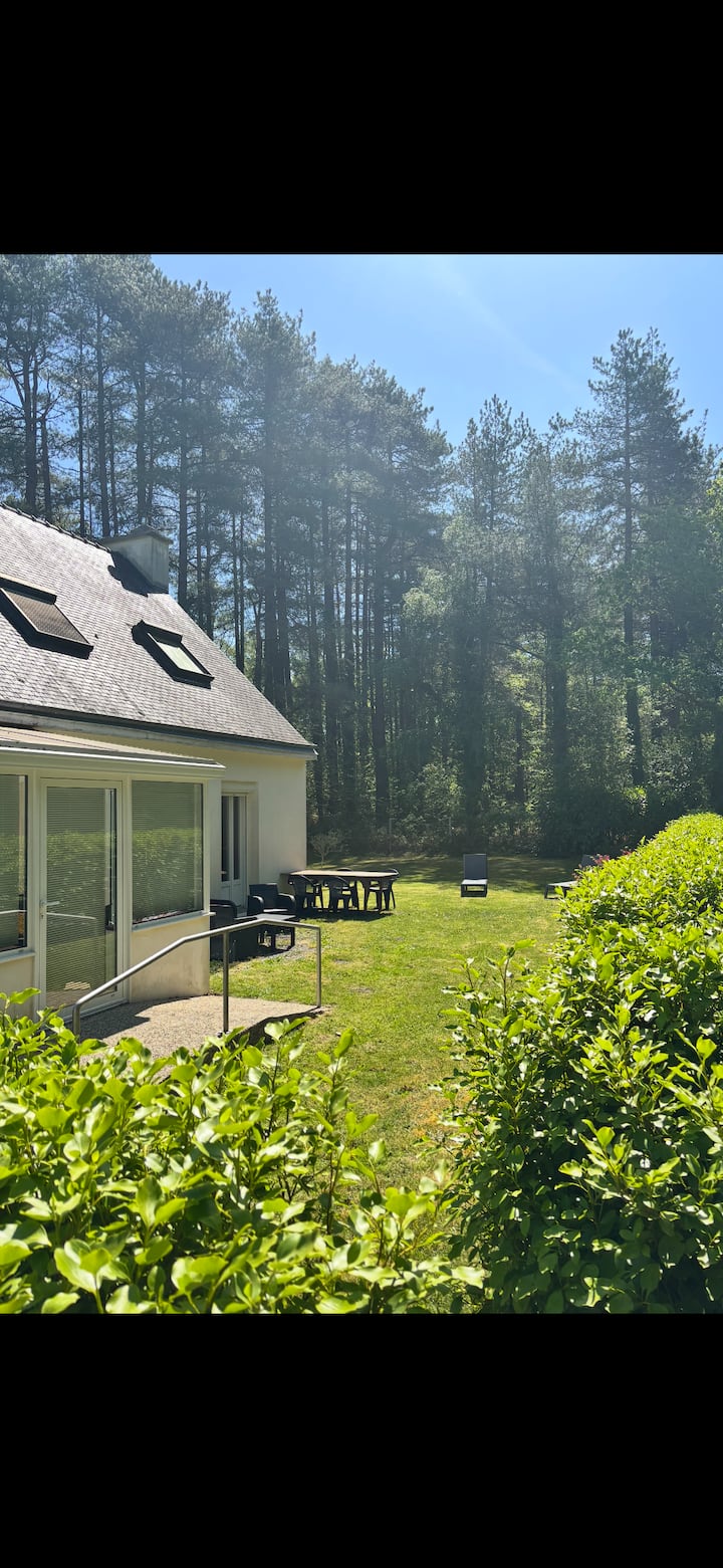 Maison Au Calme Entre éTang Et Forêt - Riec-sur-Bélon
