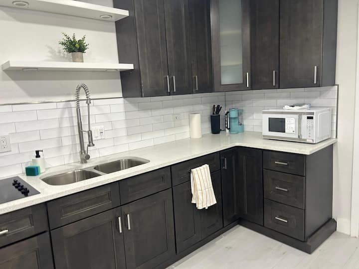 Raymond James Stadium 1b-1b Cozy Apartment. - Tampa, FL