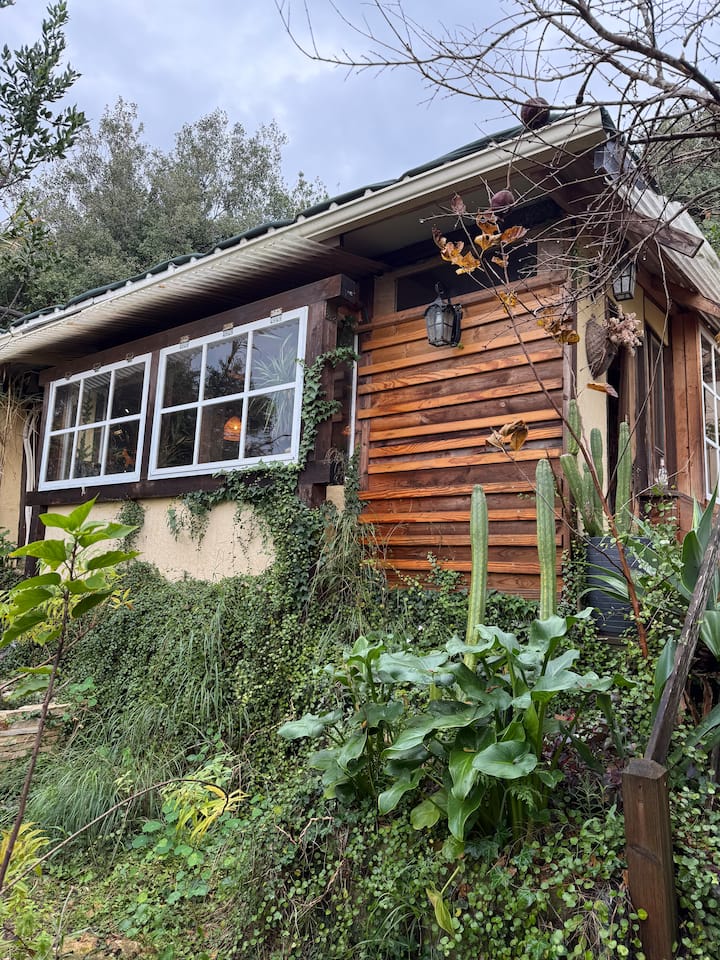 Green Cabin - Israel