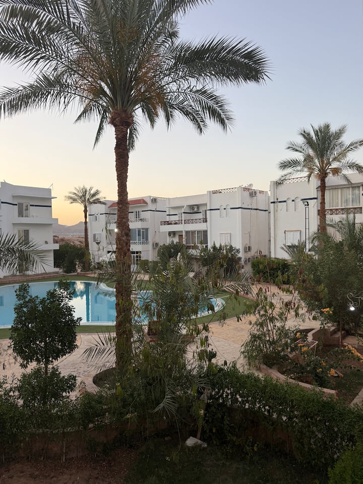 Modern Flat Pool View Great Location In Rivera. - Sharm el-Sheikh