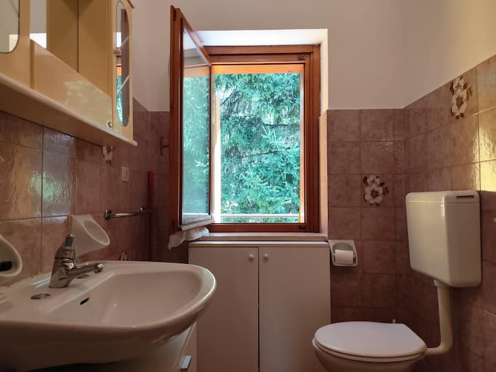 Appartamento Alpi Graie-cantoira N° 7 - Ceresole Reale