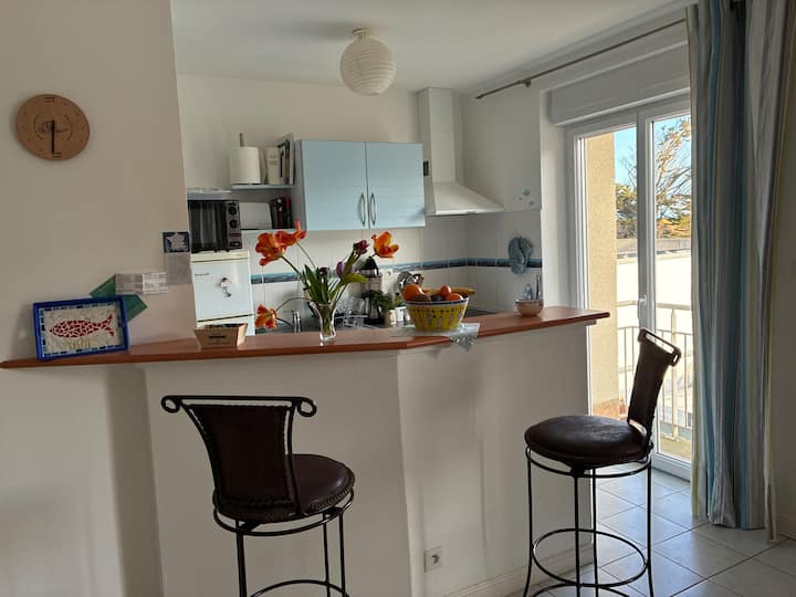 Appartement De Standing Face à La Mer - Trégastel