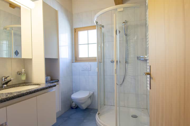 Ferienwohnung Hahnenmoosstrasse - Frutigen