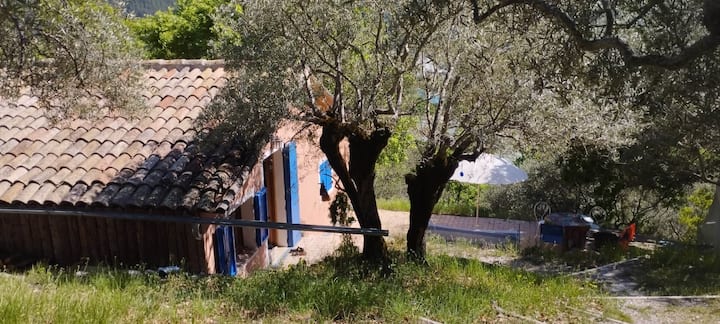 Le Mazet Des Oliviers, Un Parfum Oublié! - Annot