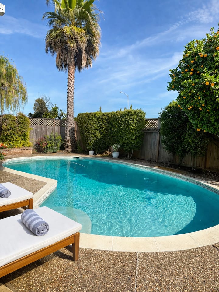 Petaluma Poolside Paradise | 3br Pool + Hot Tub - Petaluma, CA