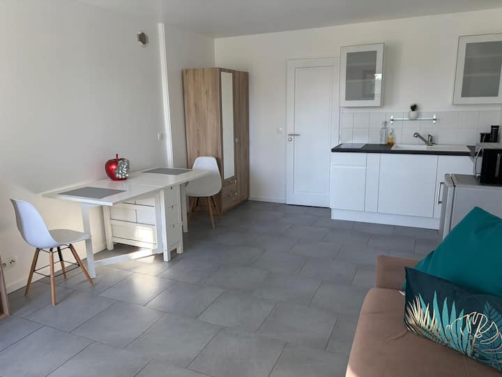 Le Studio De Saint Martin - Cruseilles