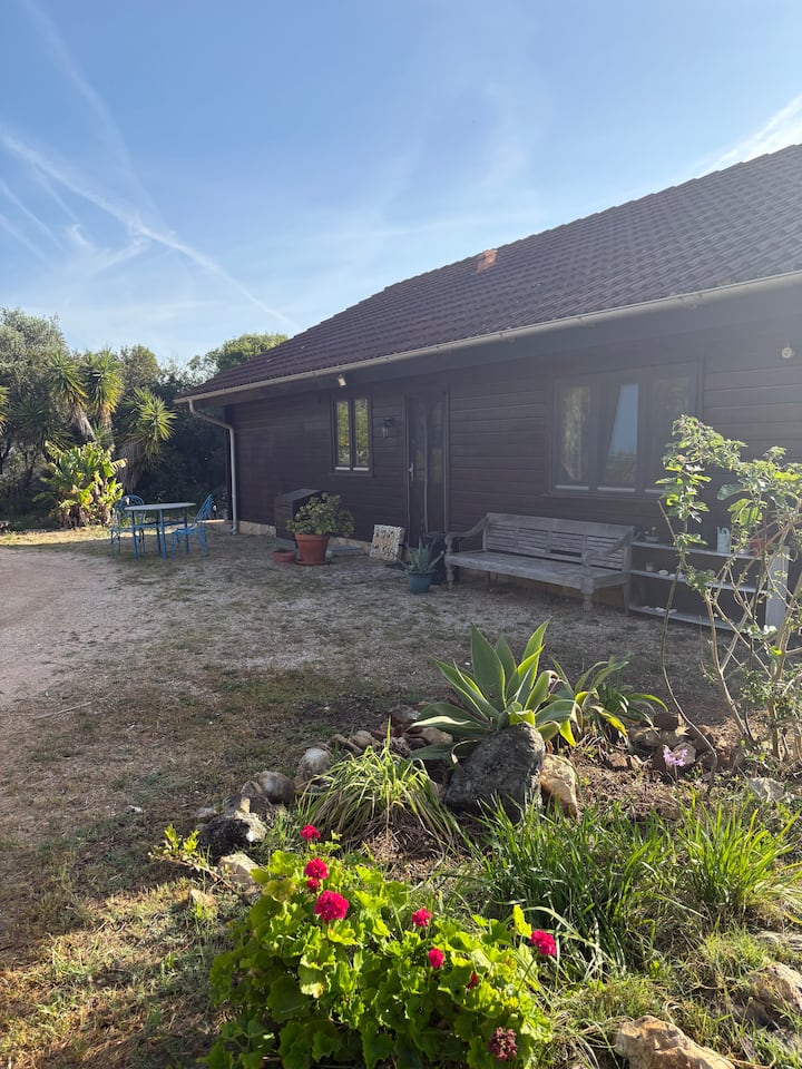 Houten Huis In De Natuur - ルース