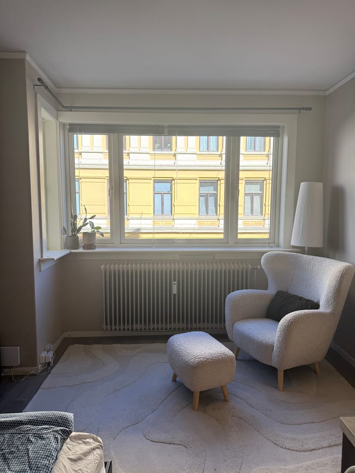 Studioleilighet På Bislett - Oslo