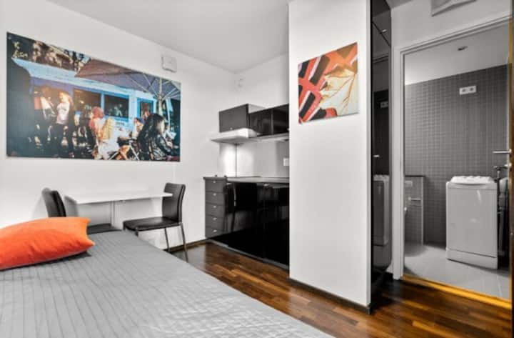 Studio Apartment In Center Of Oslo - Oslo