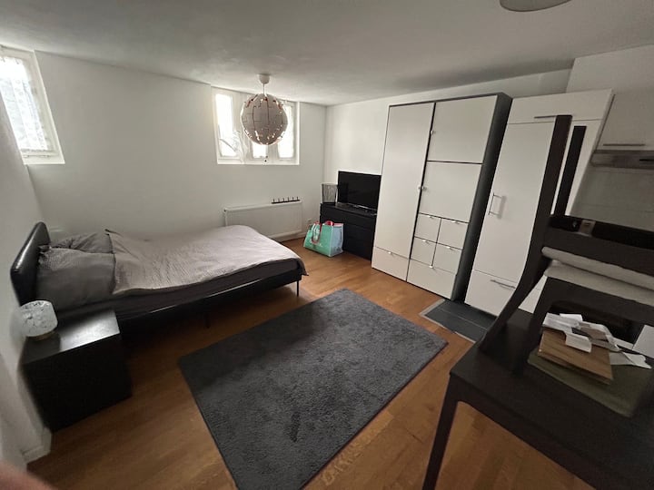 Cozy Furnished Studio By The Lake | Unteraegeri - Zug