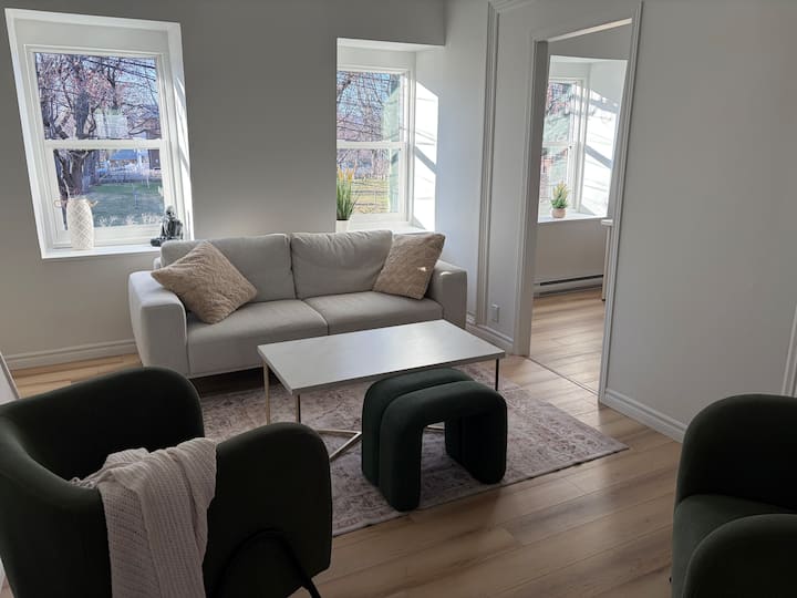 Appartement Rénové Et Lumineux Au Coeur De Québec - Levis