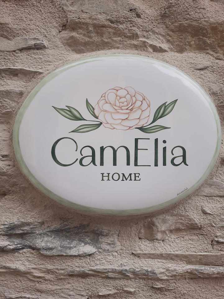 Camelia Home - Albenga