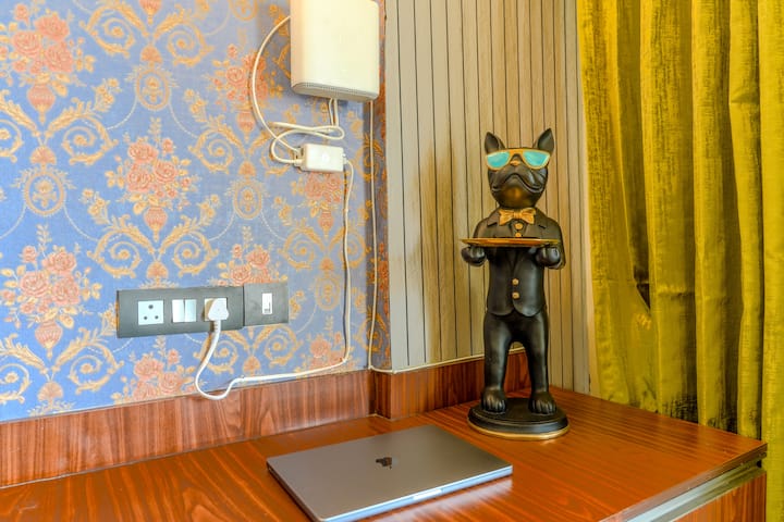 Serene Studio By H&s - Dehradun - Dehradun