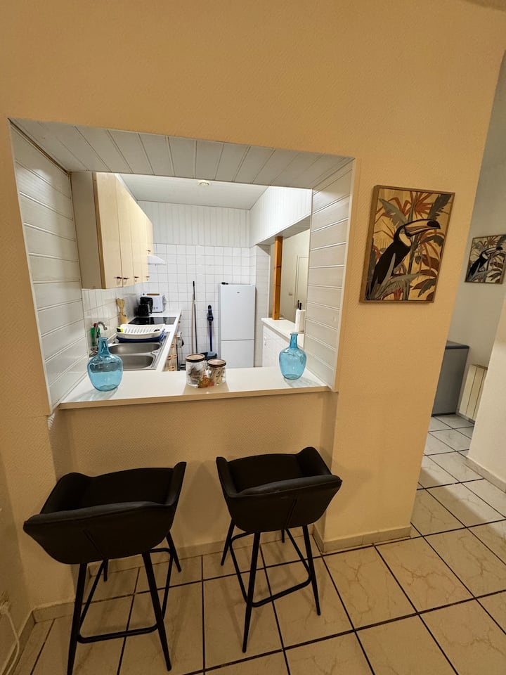Maison Sympa Avec Garage Proche Valenciennes - Valenciennes