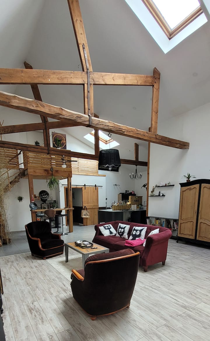 Bord De Mer. Loft. Cité De Caractère. - Tréguier