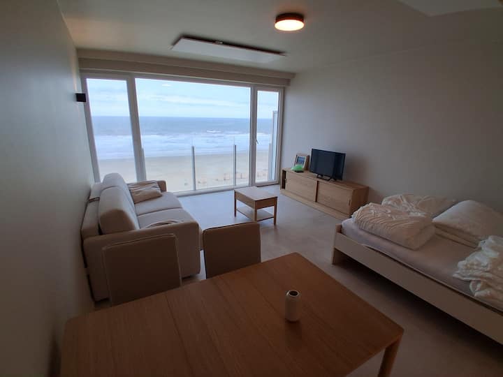 Volledig Gerenoveerde Studio Met Zeezicht De Panne - Bray-Dunes