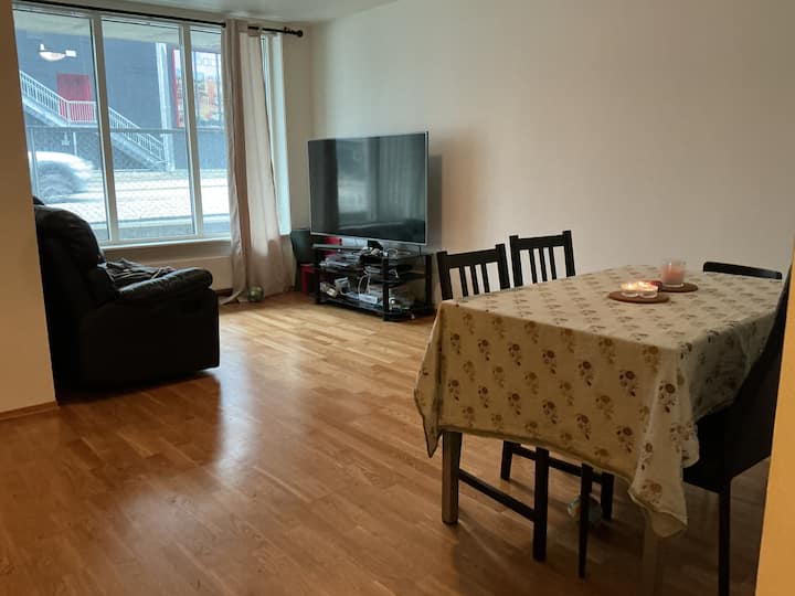 2 Bedroom Apartment, With Fully Furnished. - Trondheim