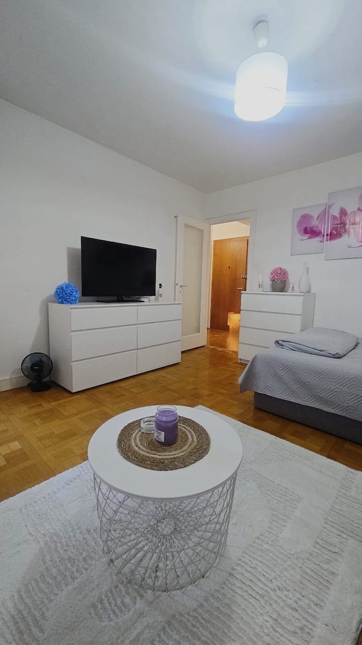 Un Studio Très Agréable Et Sympathique - Geneva
