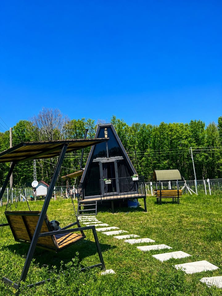 Doğayla İç İçE Bungalov Deneyimi - Sinop