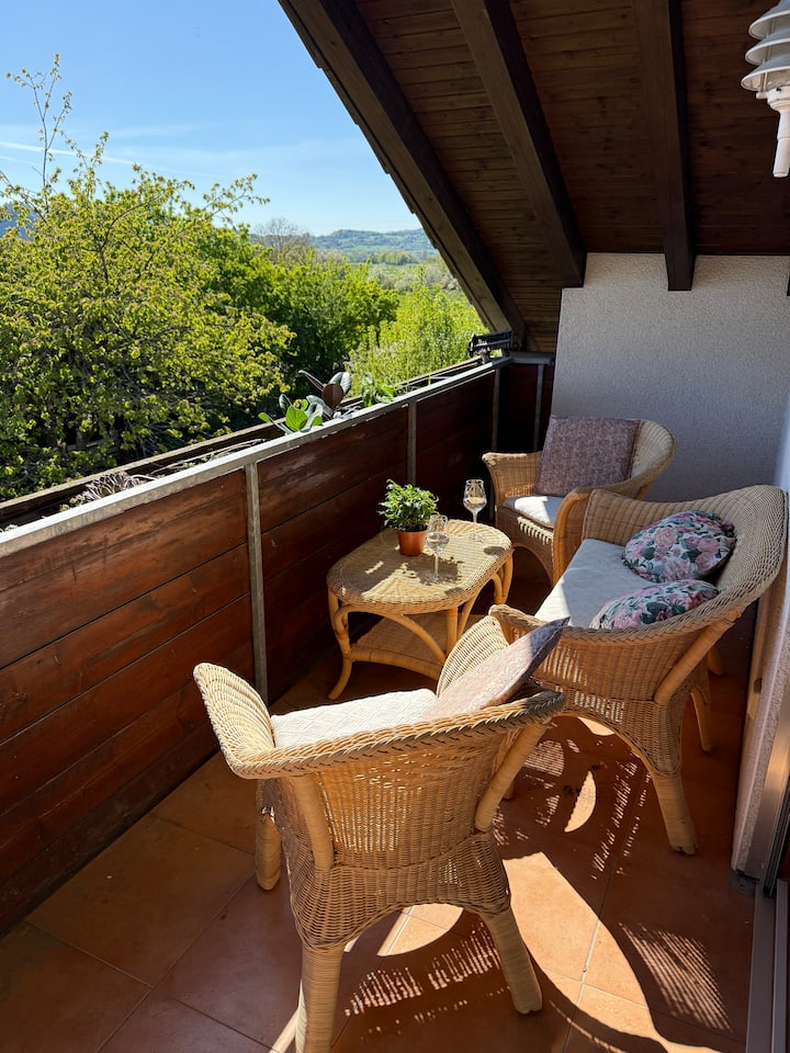 Hegau Garden Apartment - Singen