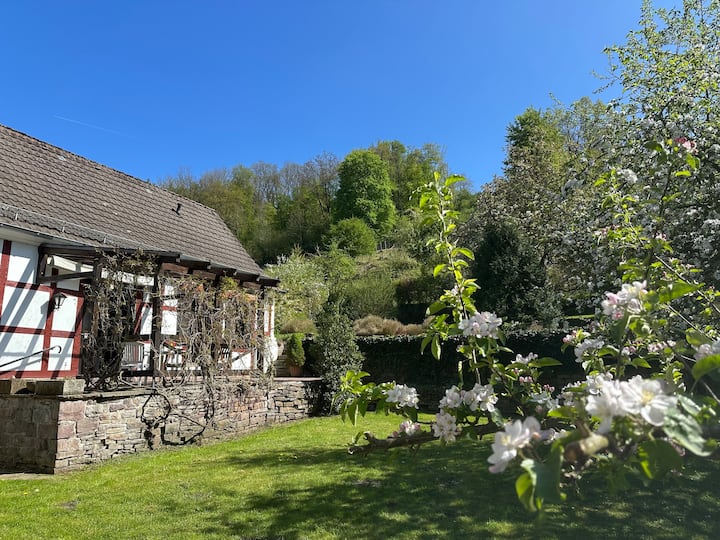 Ferienhaus Am Ritzberg Mit Sauna - Beverungen
