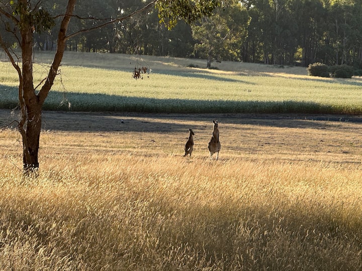 Secluded Wombat Forest Cabin Near Daylesford - Trentham
