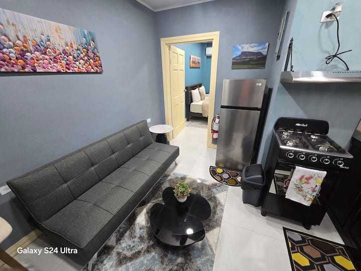 Red Exclusive Apartment - Guyana