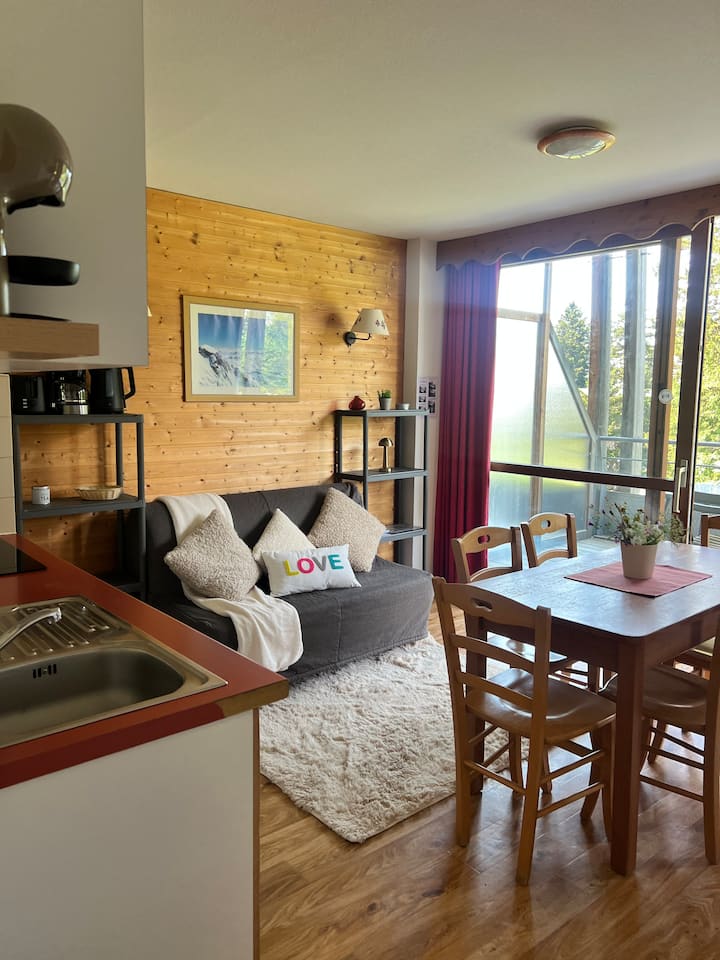 Appartement Pied Des Pistes Chamrousse 6 Pers - Chamrousse