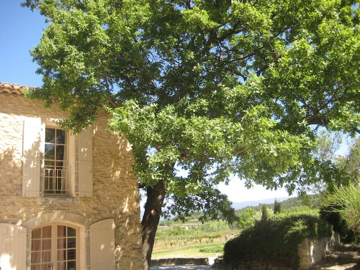 Mas Dans Les Vignes
Luberon - Vue - Piscine - Apt