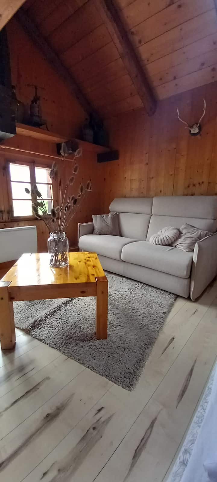 Location Appartement Meublé En Valais - Sierre