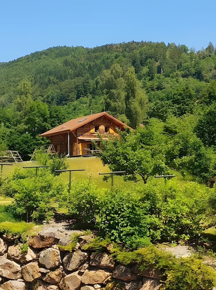 Chalet Des Charbonniers, éTang - Bussang