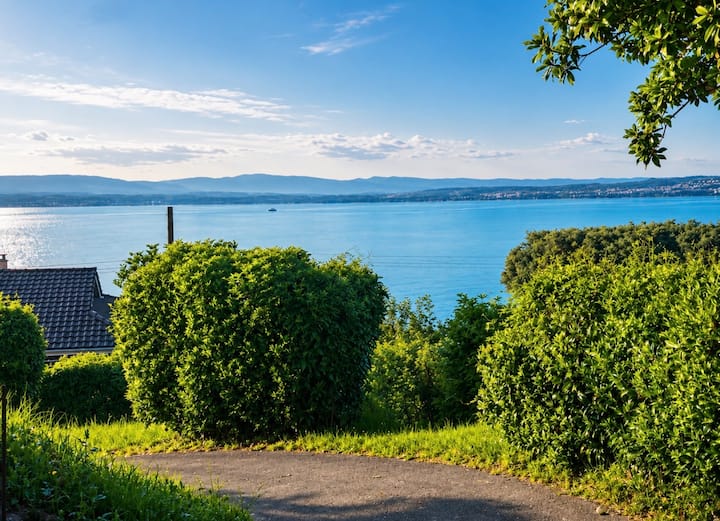 2 Pièces Entre Lac Et Montagne, Terrasse Vue Lac - Évian-les-Bains
