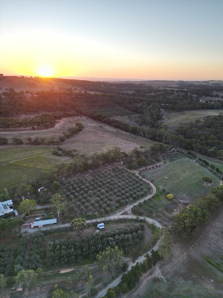 The Grove Caravan | Clare Valley Escape - Clare Valley