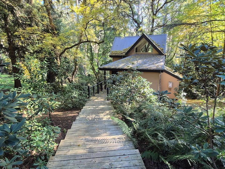Lochiel Treetops Tri-level #2 - Forest Views For 2 - Dandenong Ranges