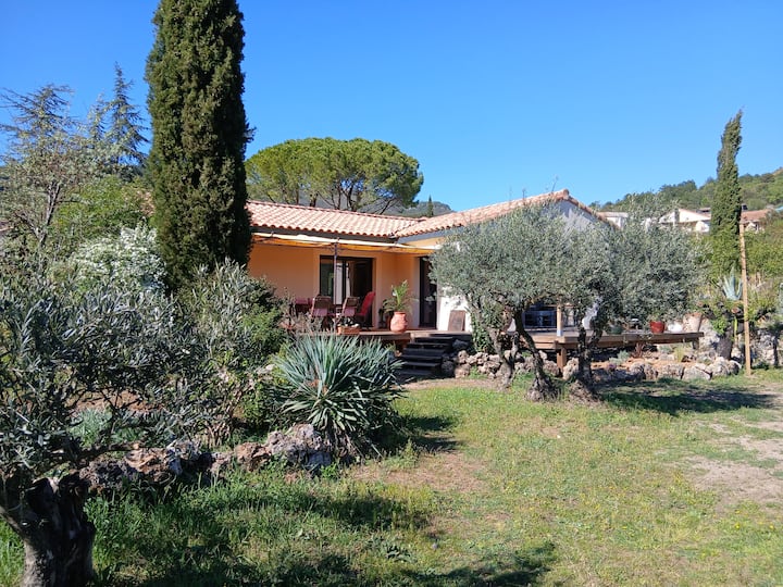 Maison Lumineuse, Spacieuse, Calme Avec Jardin. - Lodève
