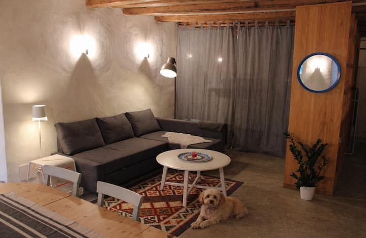 Zürich | Loft Am See Mit Garten | Nähe Luzern /Zug - Erlenbach